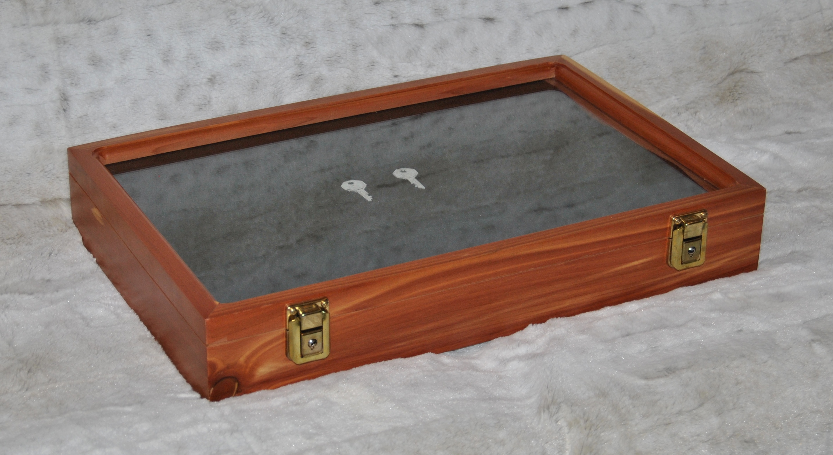 Hill Country Indian Artifacts Display Cases